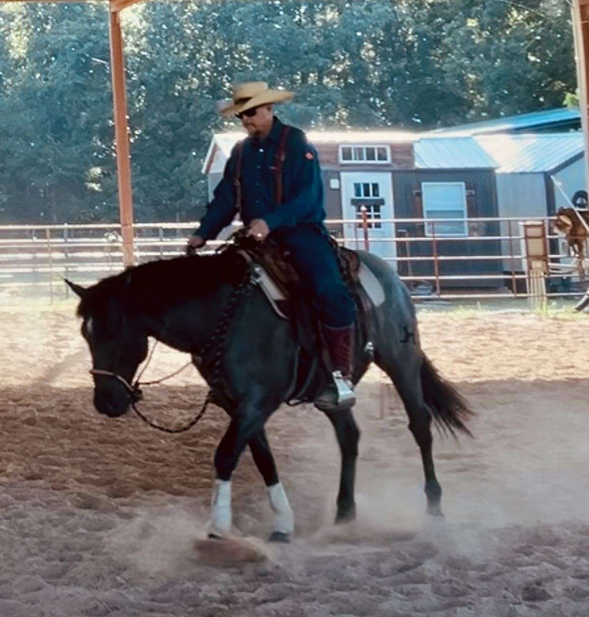 Blue Roan Gelding