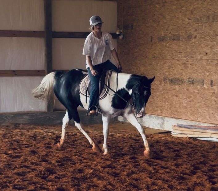 Flashy Fancy Paint Horse