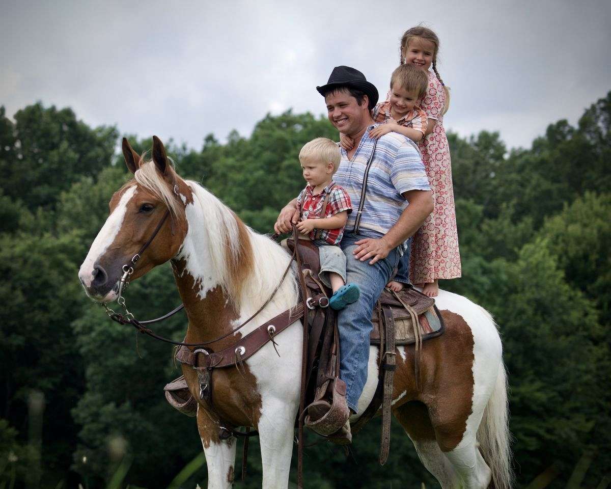 Excellent Beginner Safe Draft Cross Mare " One of a Kind"