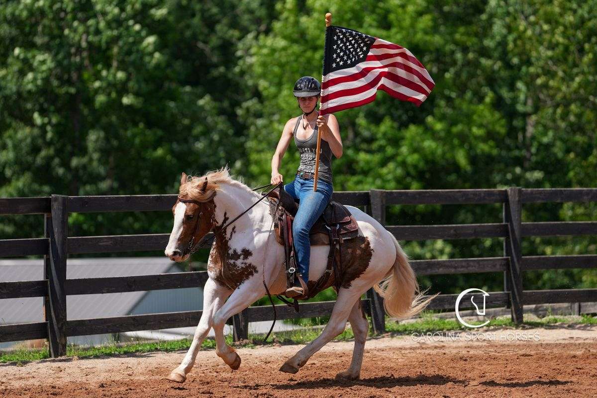 Santa Fe - Versatile & Family Friendly 4 Yr Old Paint X Haflinger Gelding!