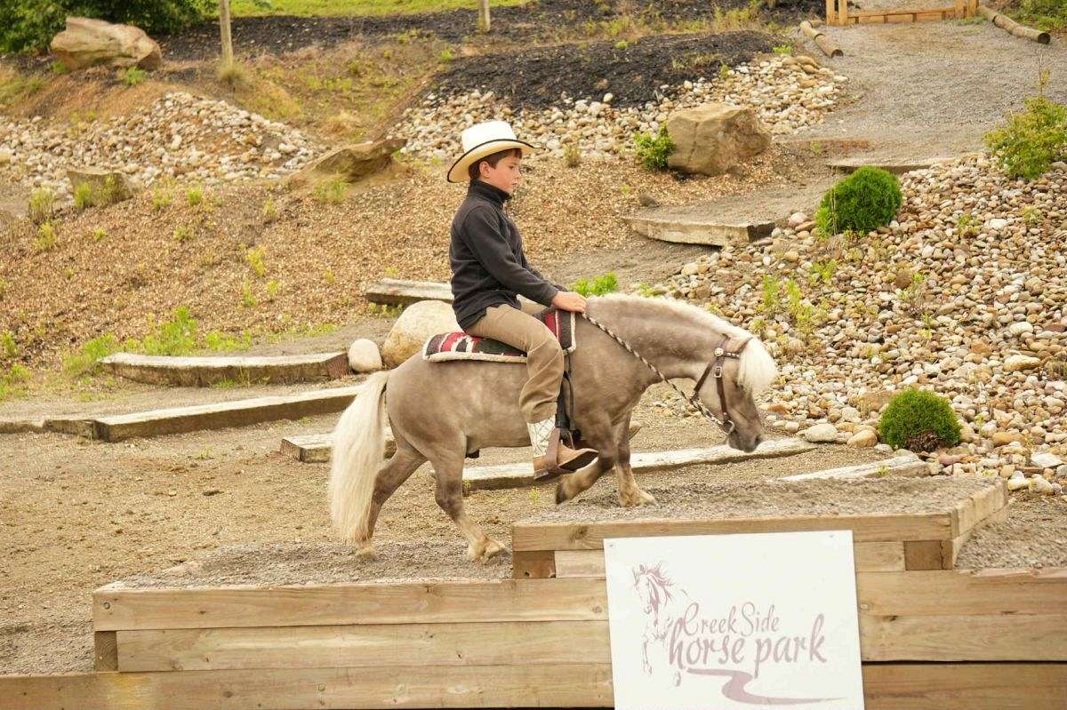 Silverado - Super Cute 8 Yr Old Silver Dapple Mini Pony Gelding!
