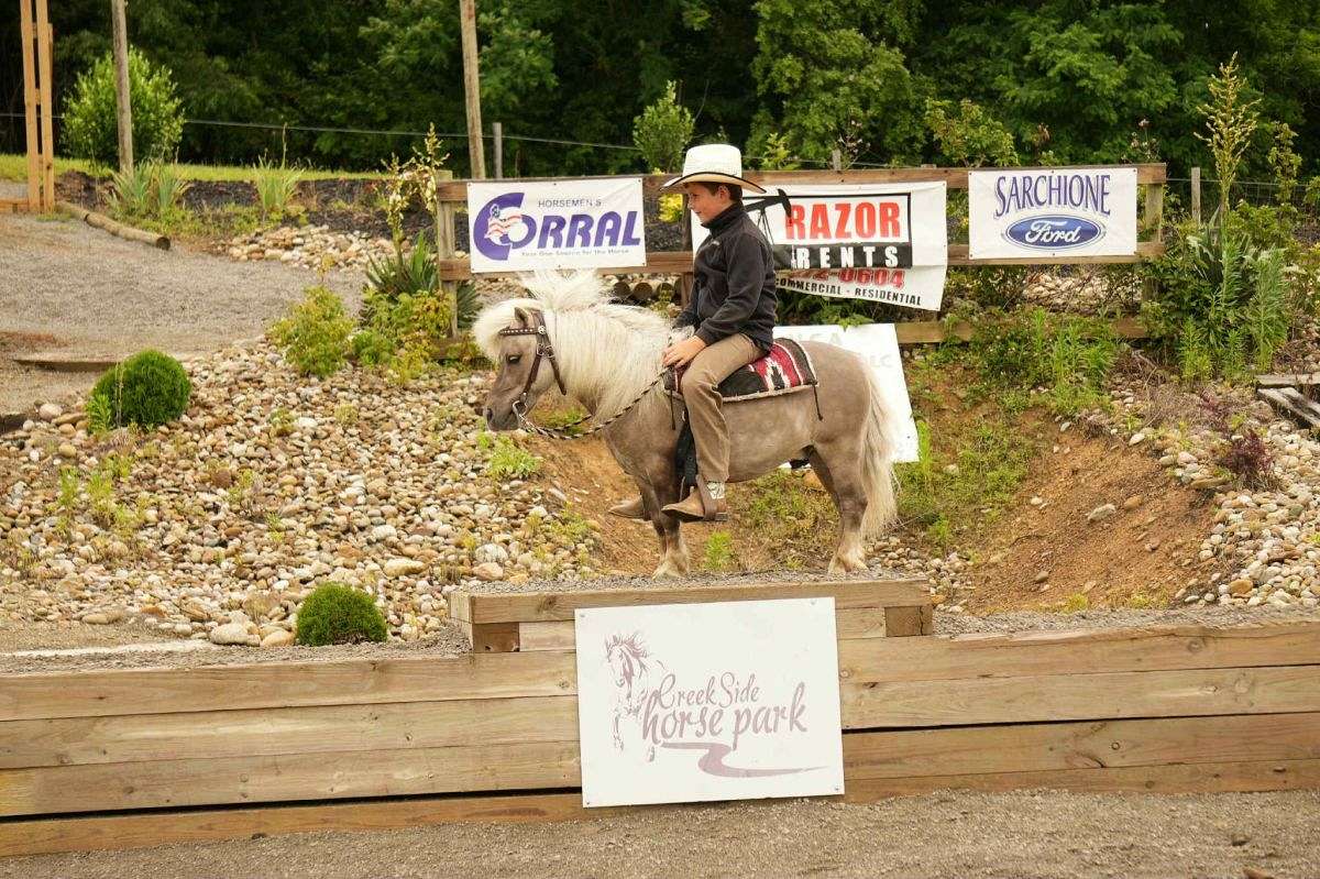 Silverado - Super Cute 8 Yr Old Silver Dapple Mini Pony Gelding!