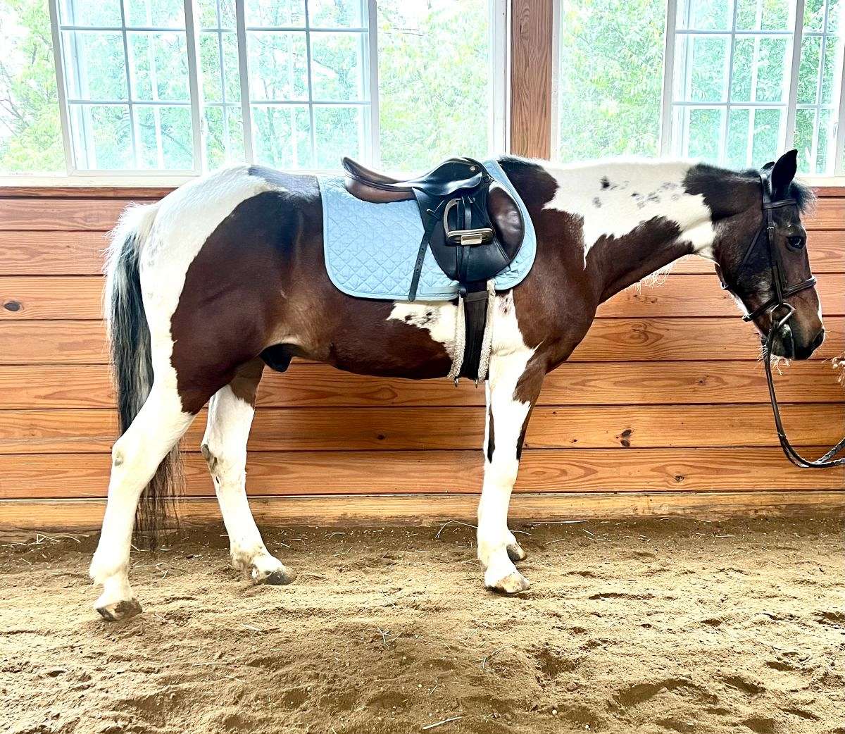 Pony Peter Pan