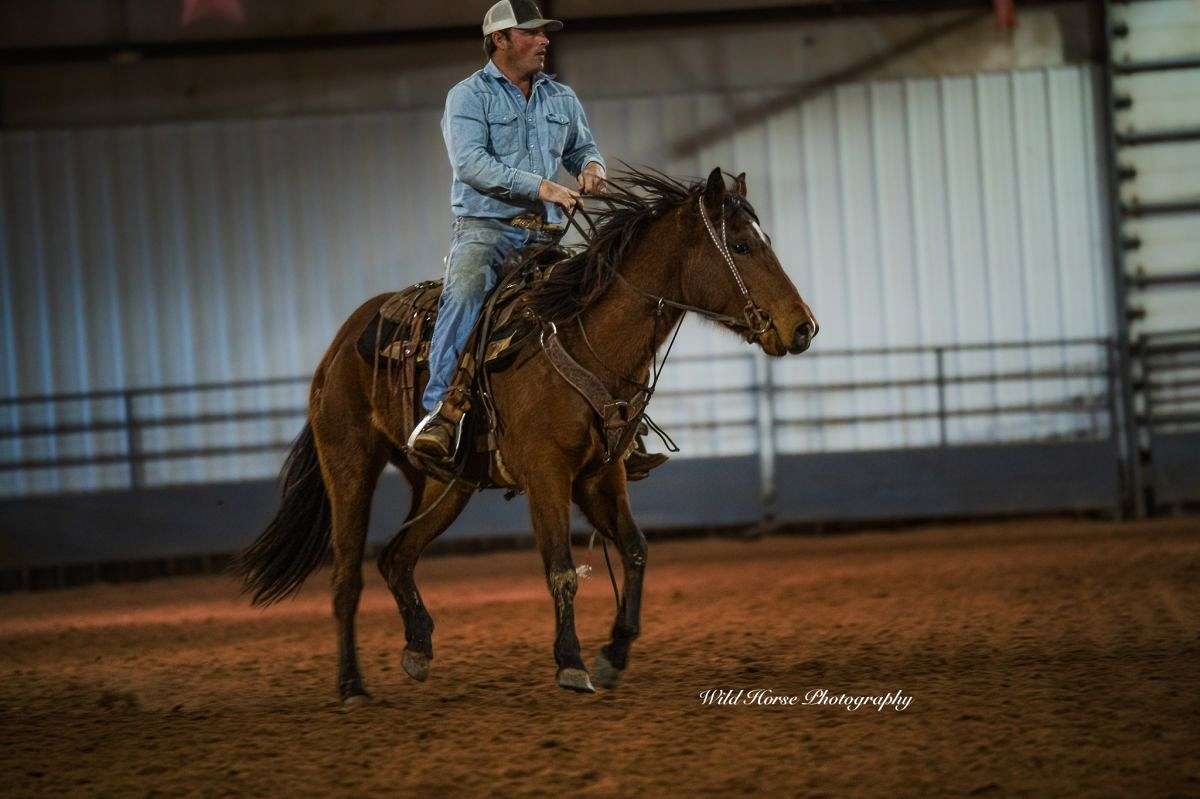 Great Ranch and Family Horse 4 Yr Old Bay AQHA Mare!