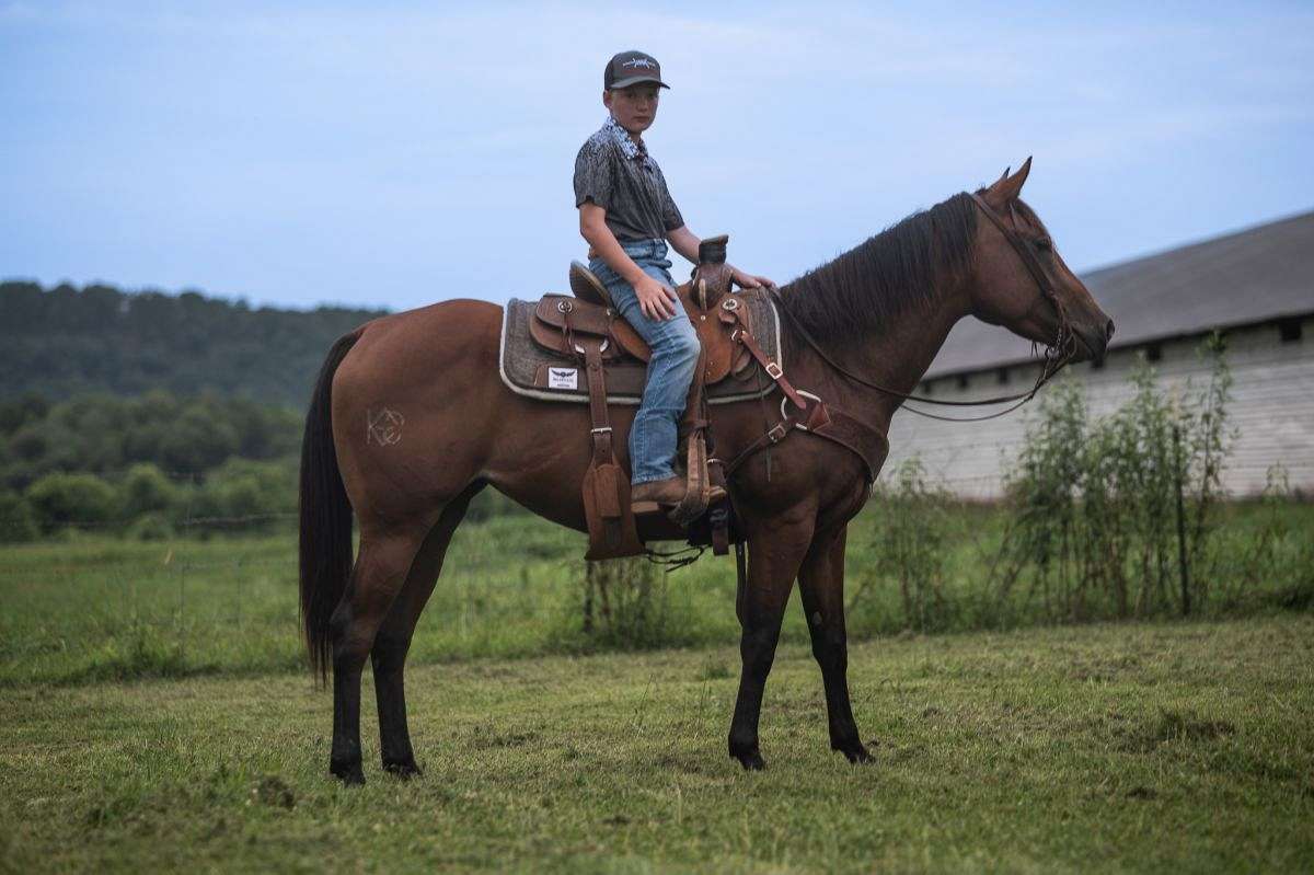 Great Ranch and Family Horse 4 Yr Old Bay AQHA Mare!