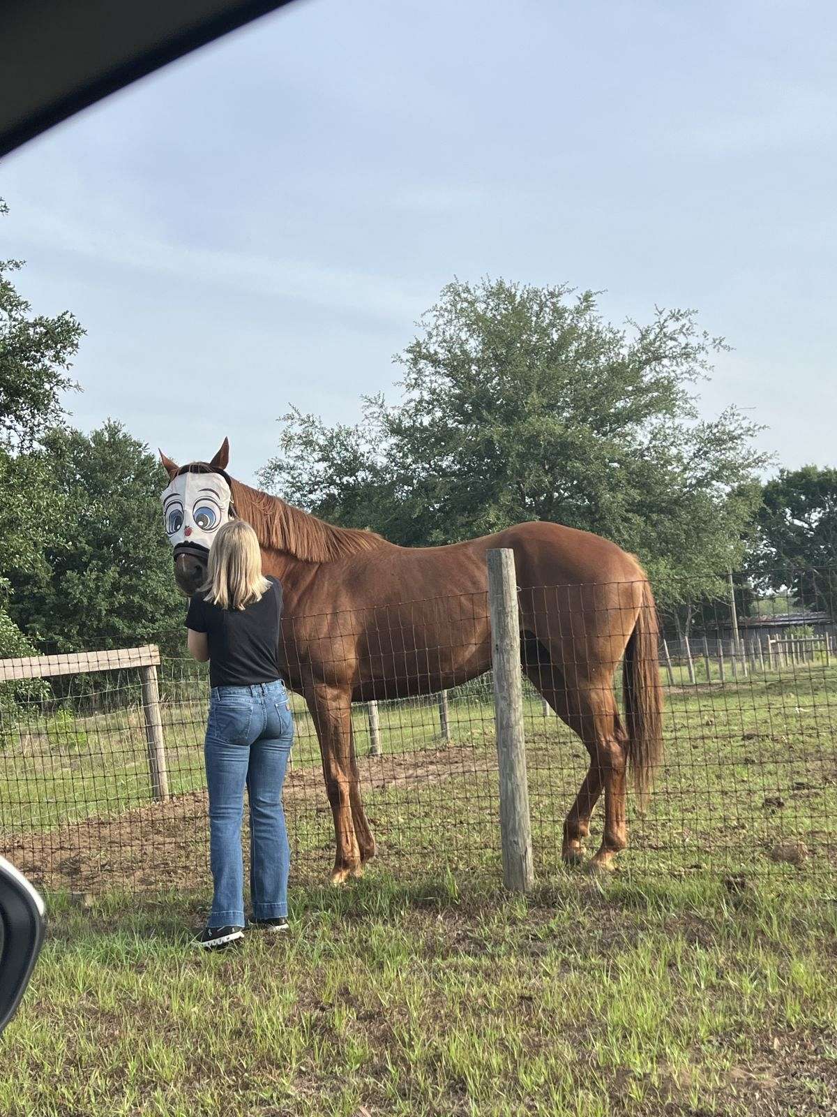 Lady* 13 Year Old Mare