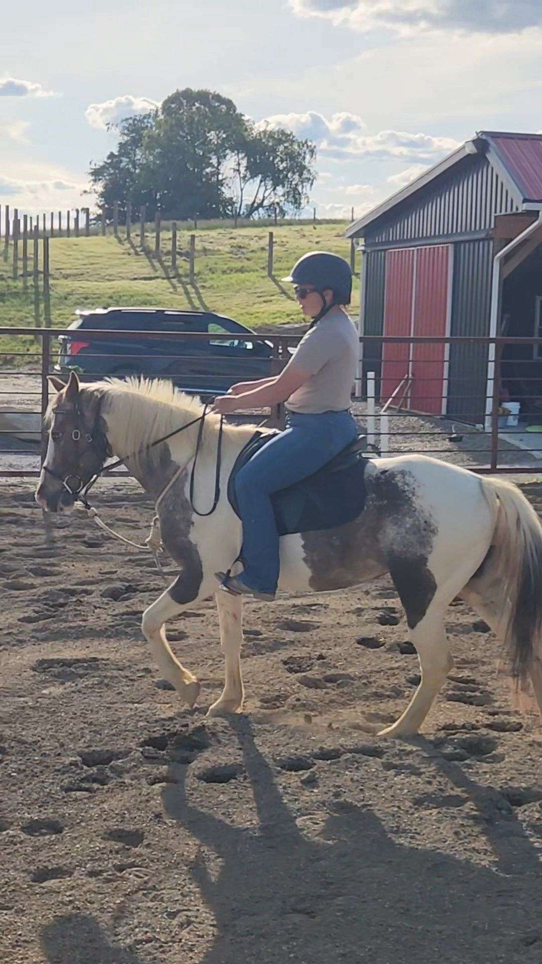 Flashy Pintaloosa Pony Mare
