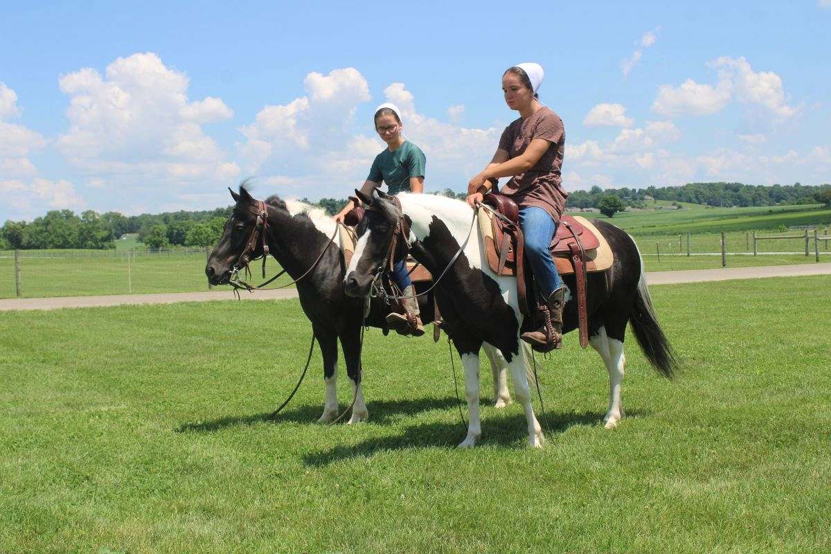 Once in a Lifetime Team Price is for the Team