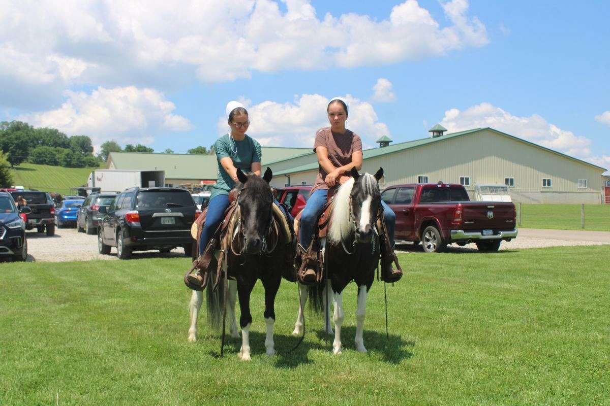 Once in a Lifetime Team Price is for the Team