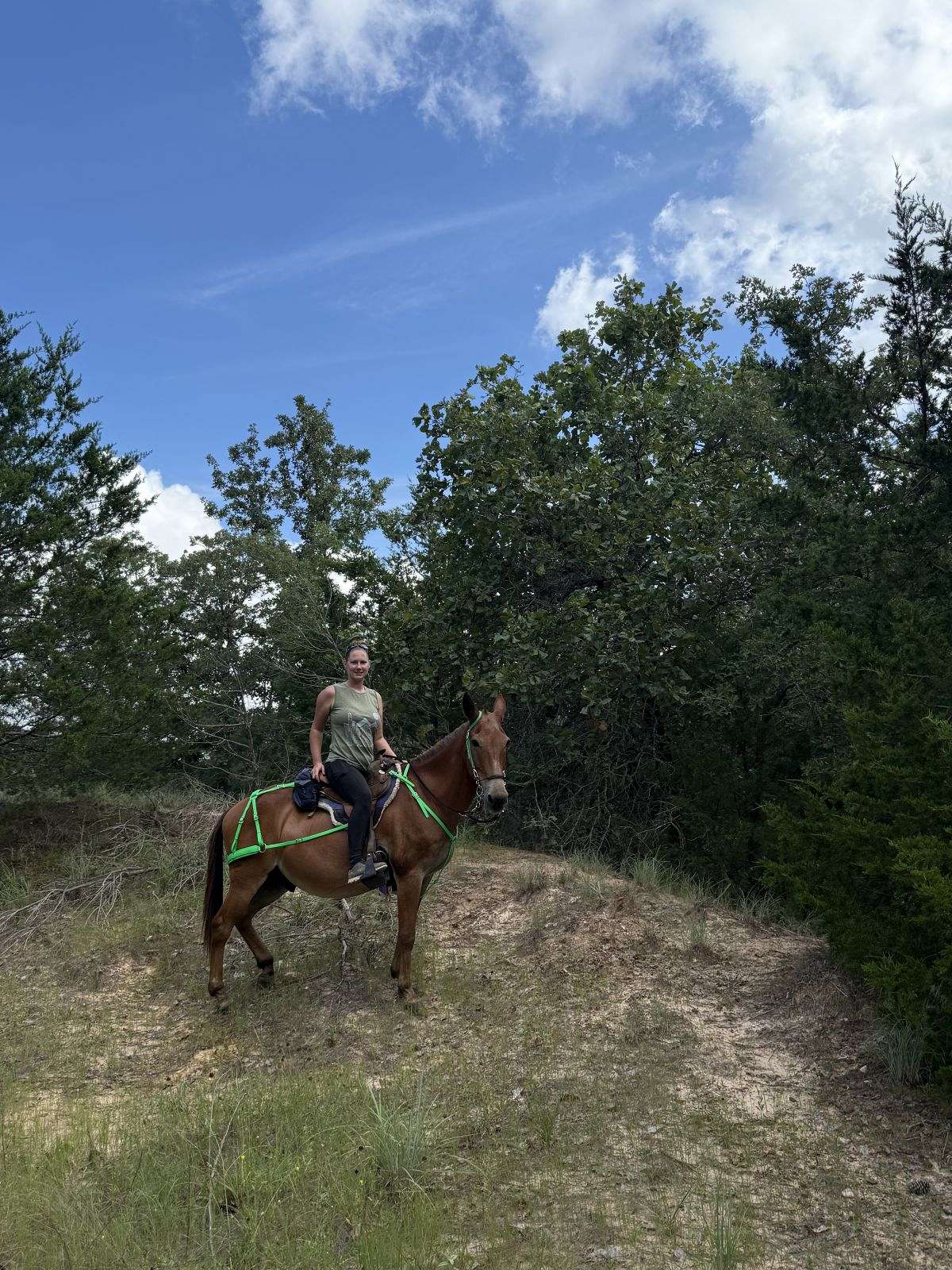 Trail Mule – Steady, Sweet & Seasoned