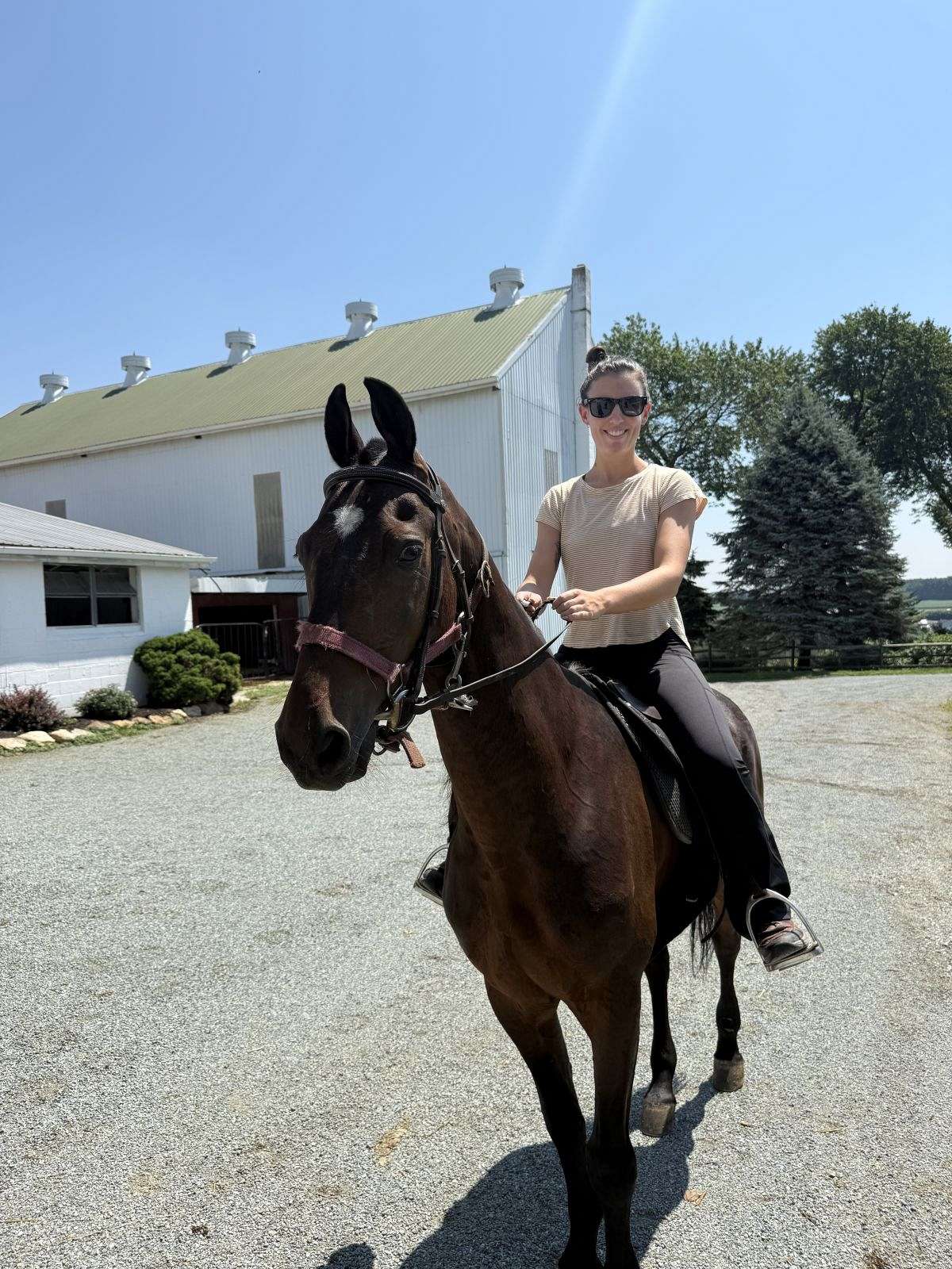 Lightning the Morgan