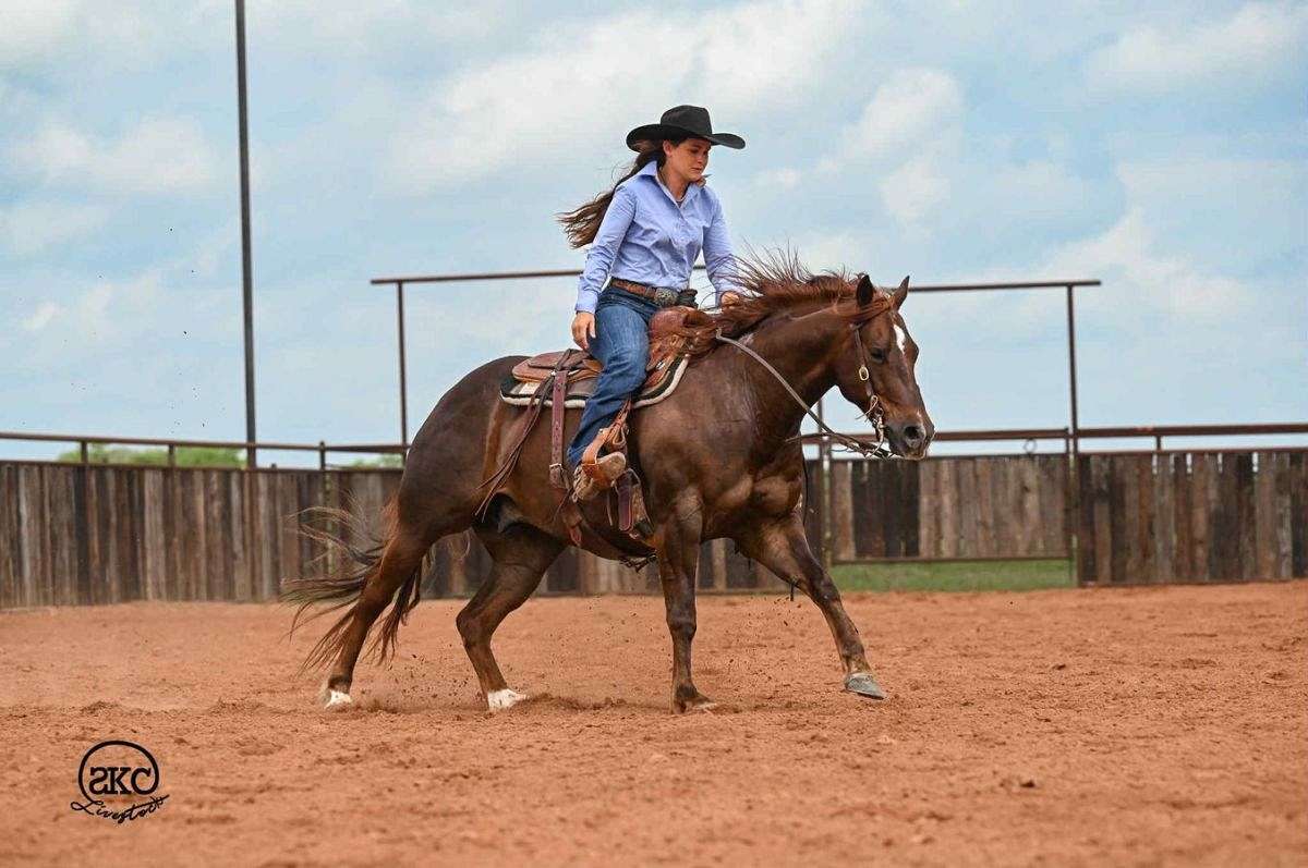Bear - Finished Cutting Horse 6 Yr Old Chestnut AQHA Gelding!