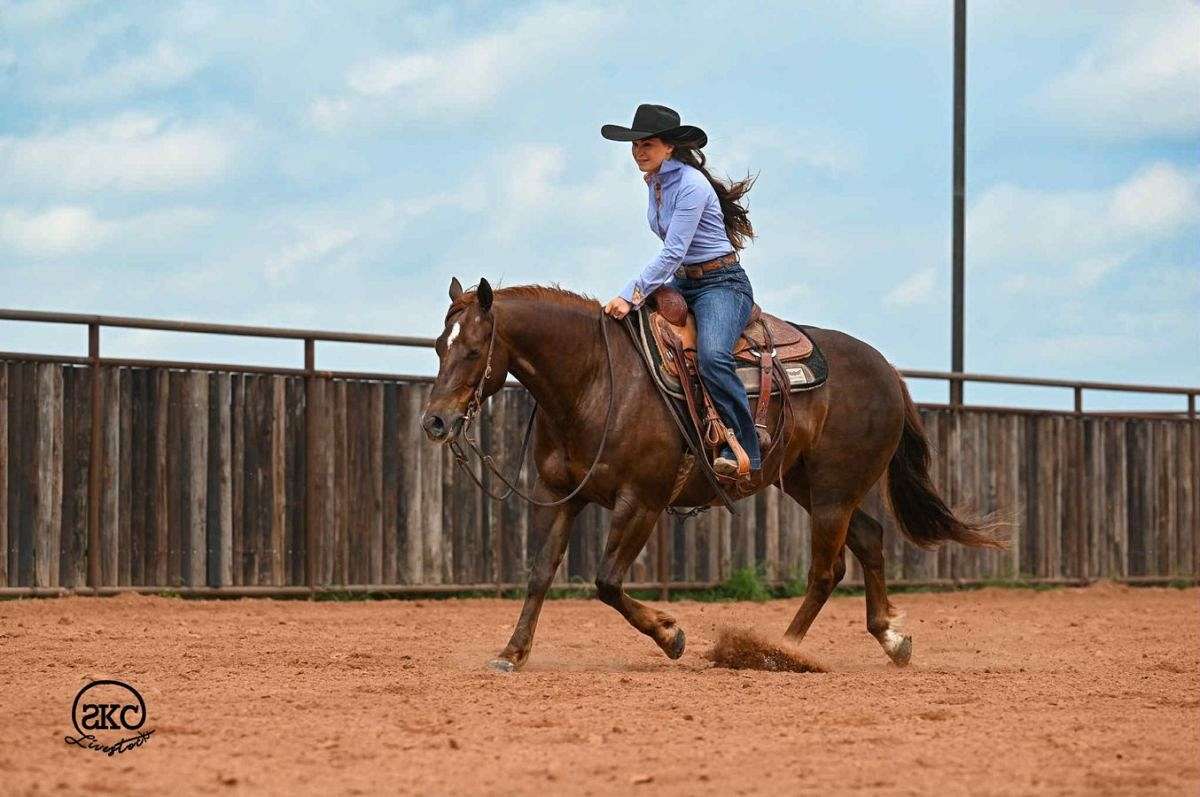 Bear - Finished Cutting Horse 6 Yr Old Chestnut AQHA Gelding!