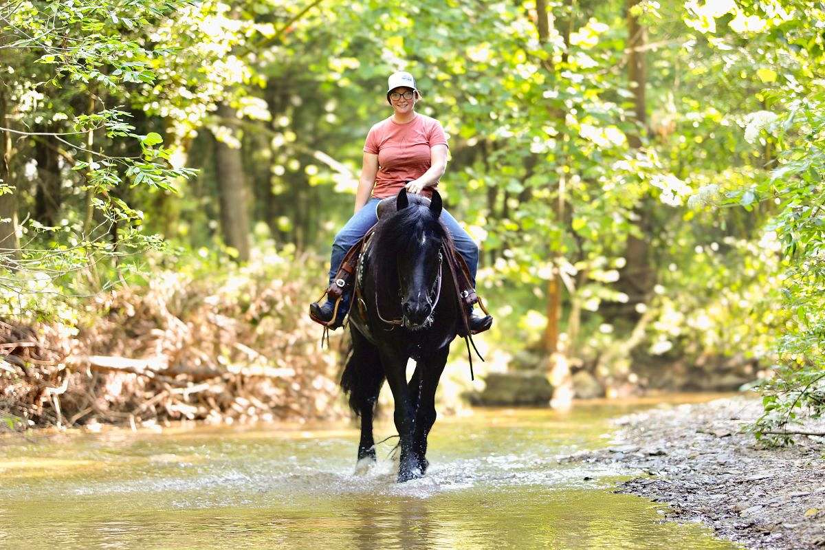 Whysper - Extremely Versatile 11 Yr Old Black Gypsian Gelding!