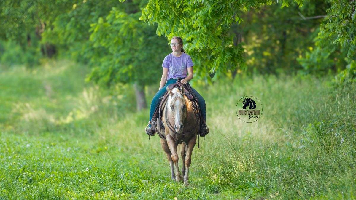 Sunbeam - Great Ranch & Trail Horse 9 yo Palomino Quarter Horse Gelding!