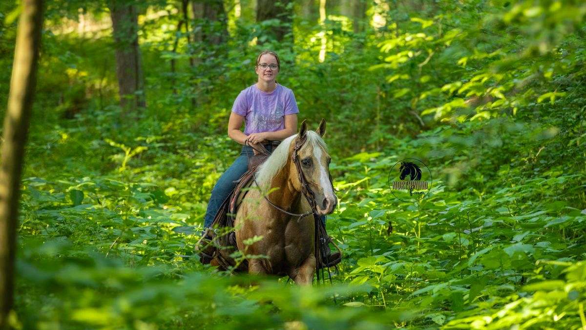 Sunbeam - Great Ranch & Trail Horse 9 yo Palomino Quarter Horse Gelding!