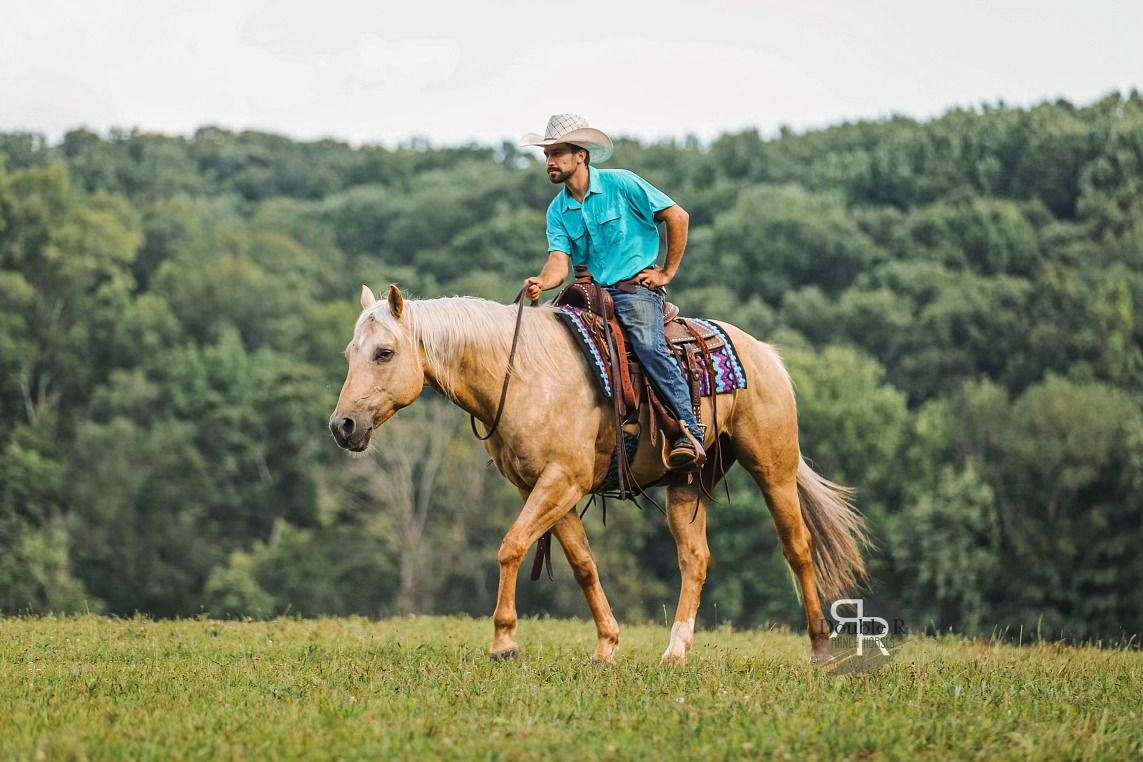 Gold Rush - Honest, Safe, & Sweet 6 Yr Old Palomino AQHA Gelding!