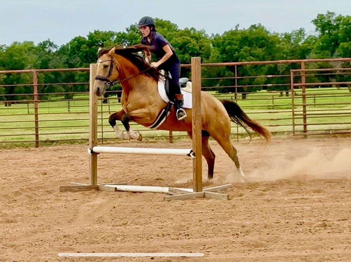Cassie - a True All-Around Horse 9 Yr Old Buckskin AQHA Mare!