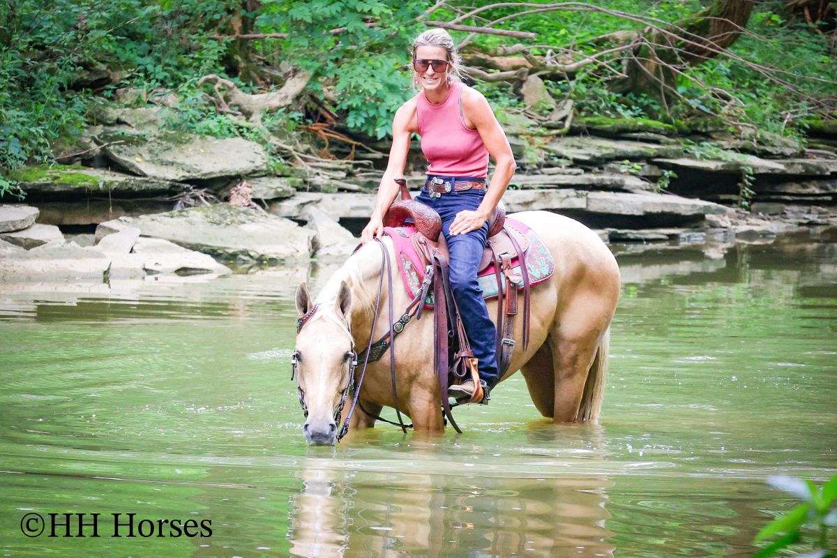 Really Gentle, Super Quiet AQHA Registered Palomino Mare, Safe