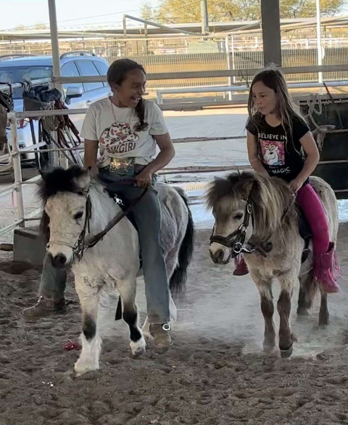 Sunny 2017 AMHR 34"Buckskin Pinto Gelding Cute, Gentle & Fun!