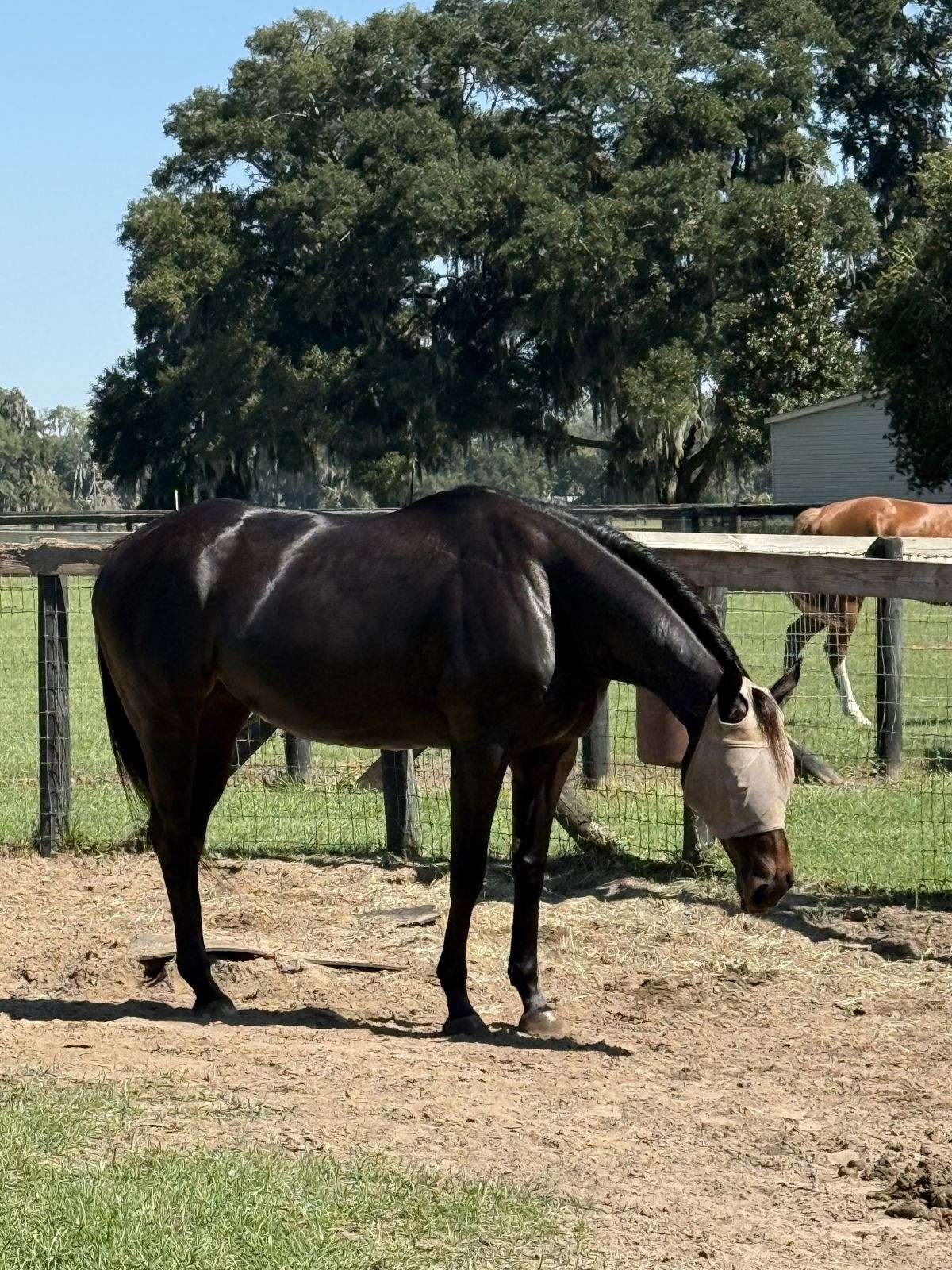 Nice Upper Level Project