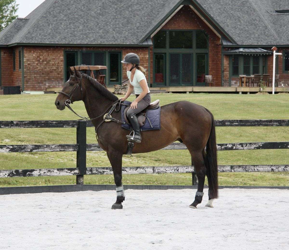 Low Level Event Horse for Lease