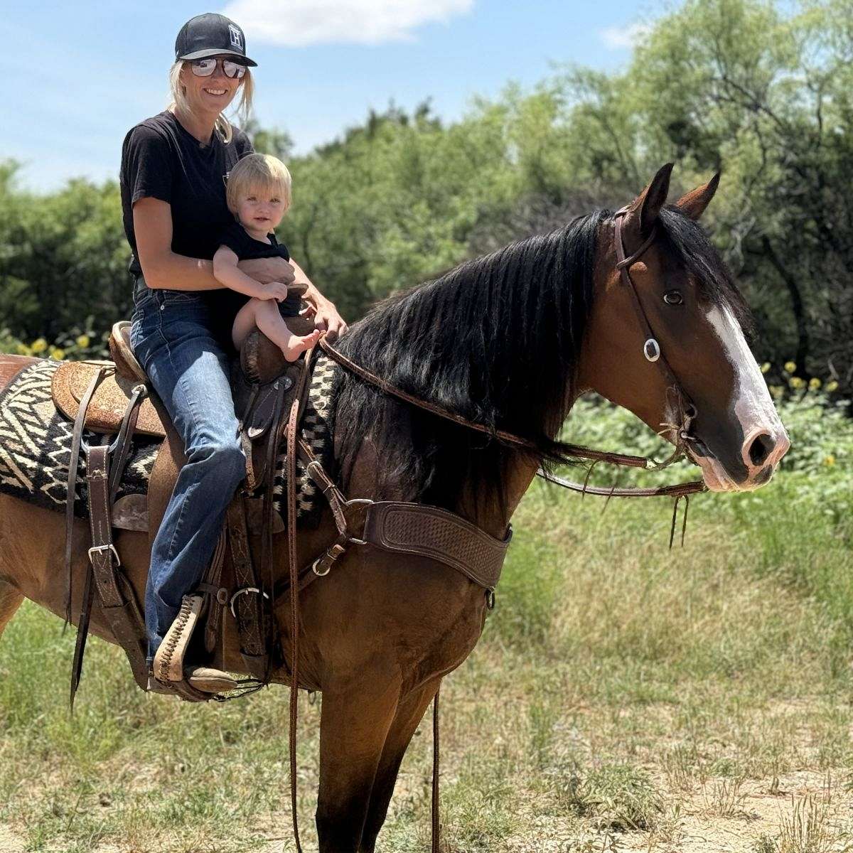 Big, Gentle, Stunning 4 Yr Old Bay Draft Cross Mare!