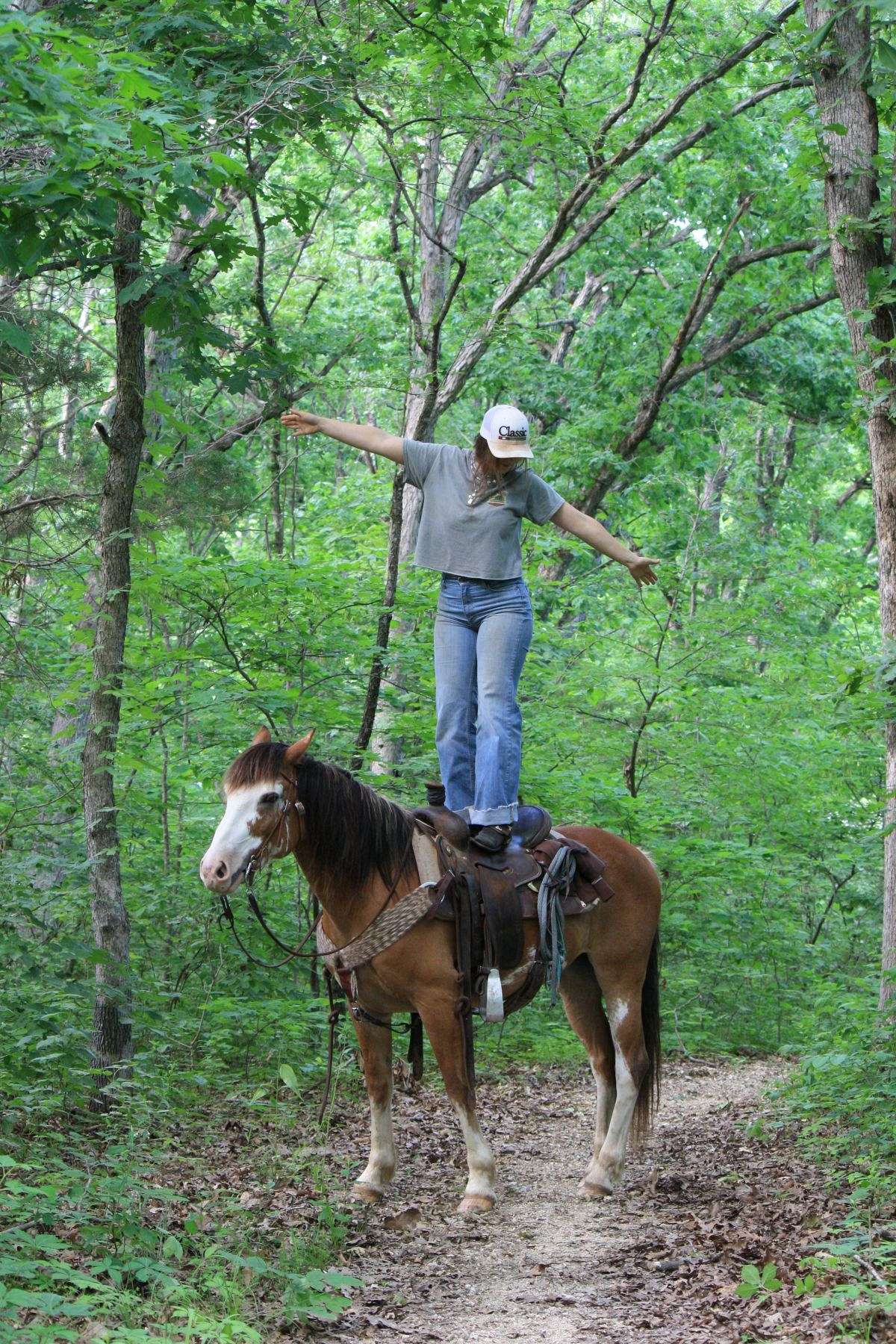 Charming Ranch Deluxe 9 Yr Old Bay Sabino Draft Cross Gelding!