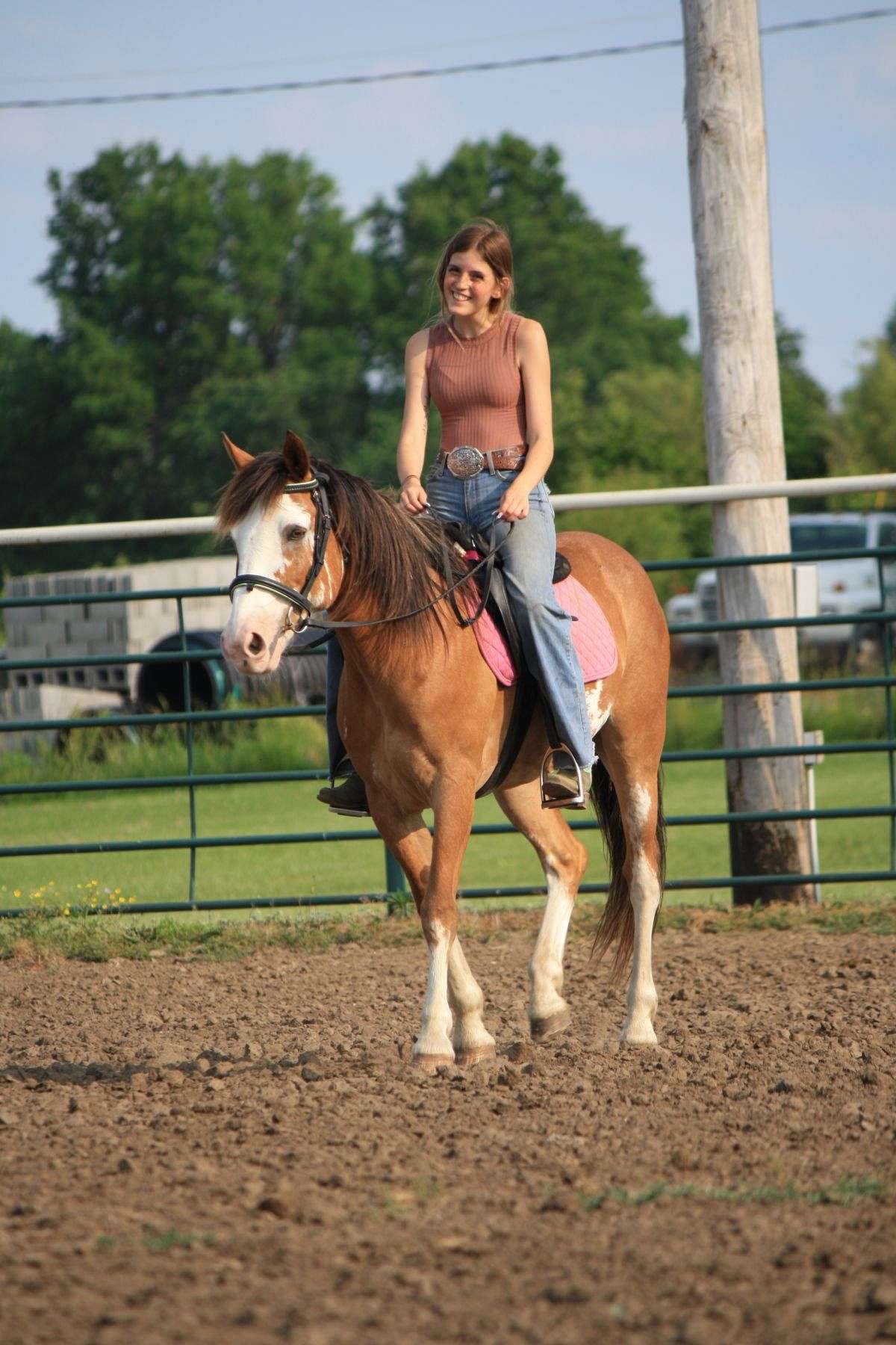 Charming Ranch Deluxe 9 Yr Old Bay Sabino Draft Cross Gelding!