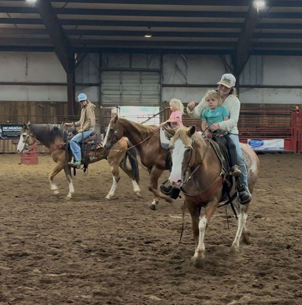 Charming Ranch Deluxe 9 Yr Old Bay Sabino Draft Cross Gelding!