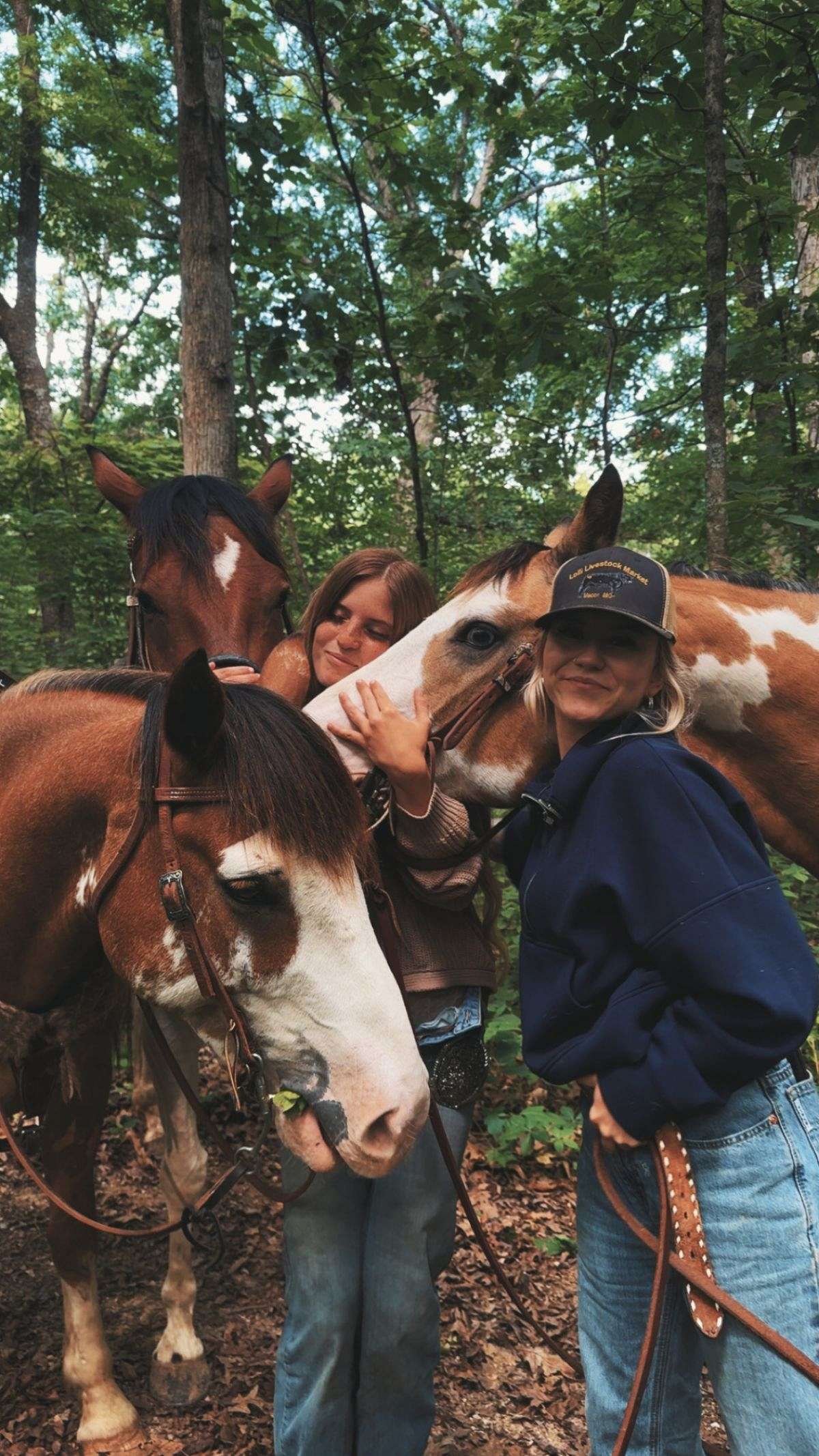 Charming Ranch Deluxe 9 Yr Old Bay Sabino Draft Cross Gelding!