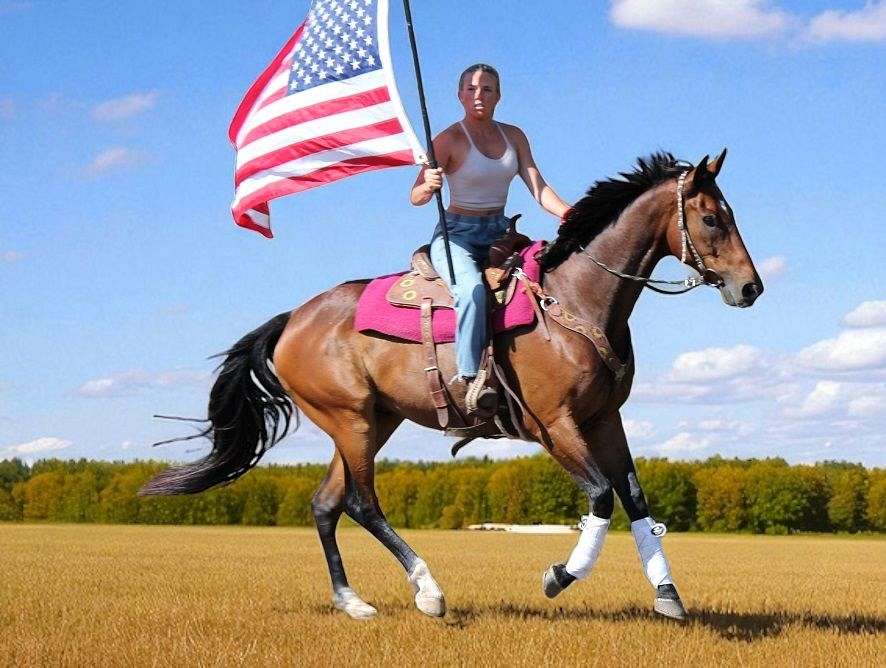 Trustworthy Kid Safe 7 Yr Old Bay Warmblood Cross Gelding!