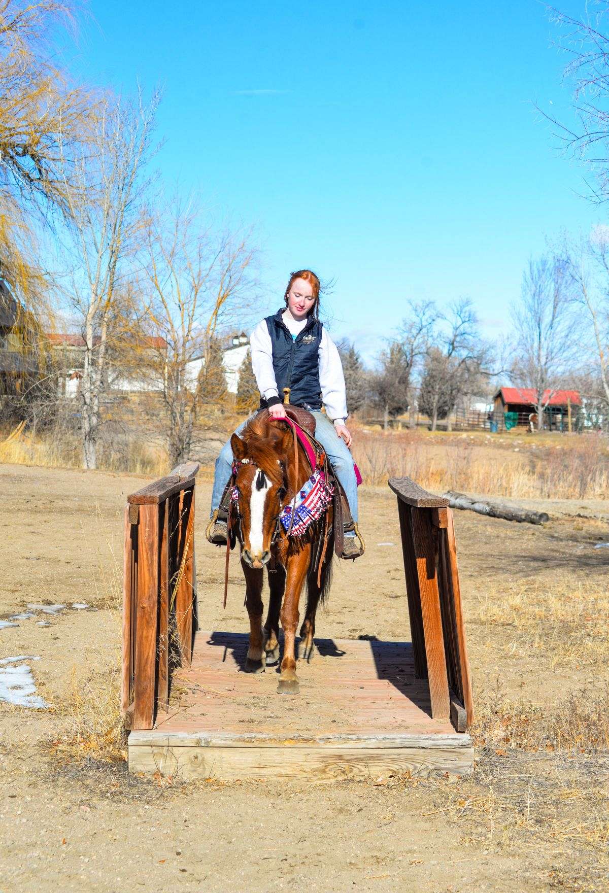 Gorgeous Versatile Kid Safe 6 Yr Old Sorrel Mustang Mare!