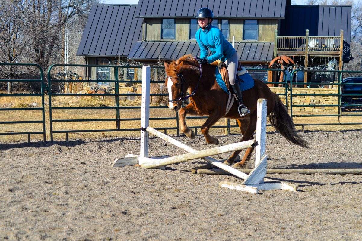 Gorgeous Versatile Kid Safe 6 Yr Old Sorrel Mustang Mare!