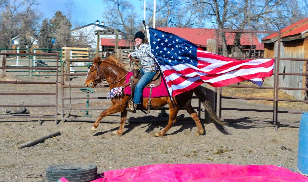 Gorgeous Versatile Kid Safe 6 Yr Old Sorrel Mustang Mare!