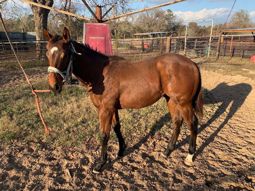 Unnamed - 1/2 to War Like Goddess X Good Magic