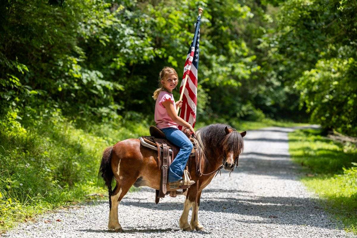 Chubbs- the Ultimate Chunky Pony Dream