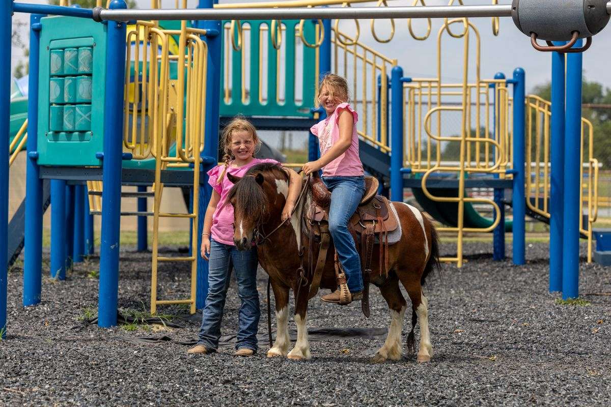 Chubbs- the Ultimate Chunky Pony Dream