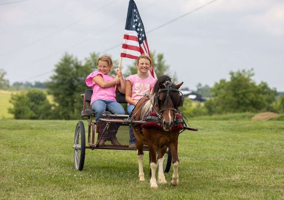 Chubbs- the Ultimate Chunky Pony Dream