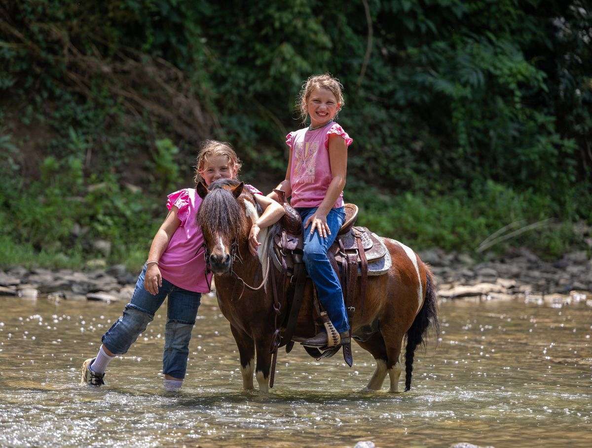 Chubbs- the Ultimate Chunky Pony Dream