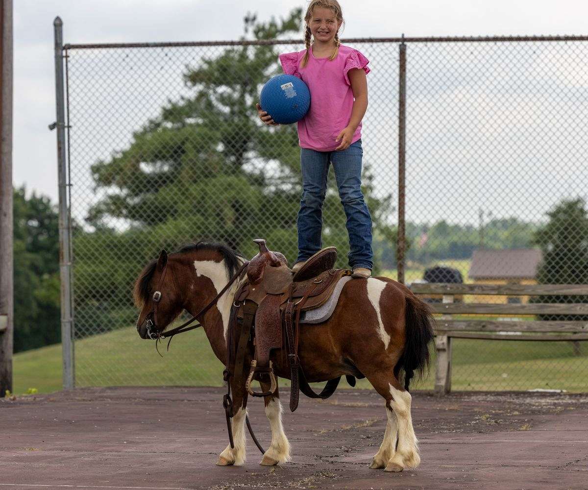 Chubbs- the Ultimate Chunky Pony Dream