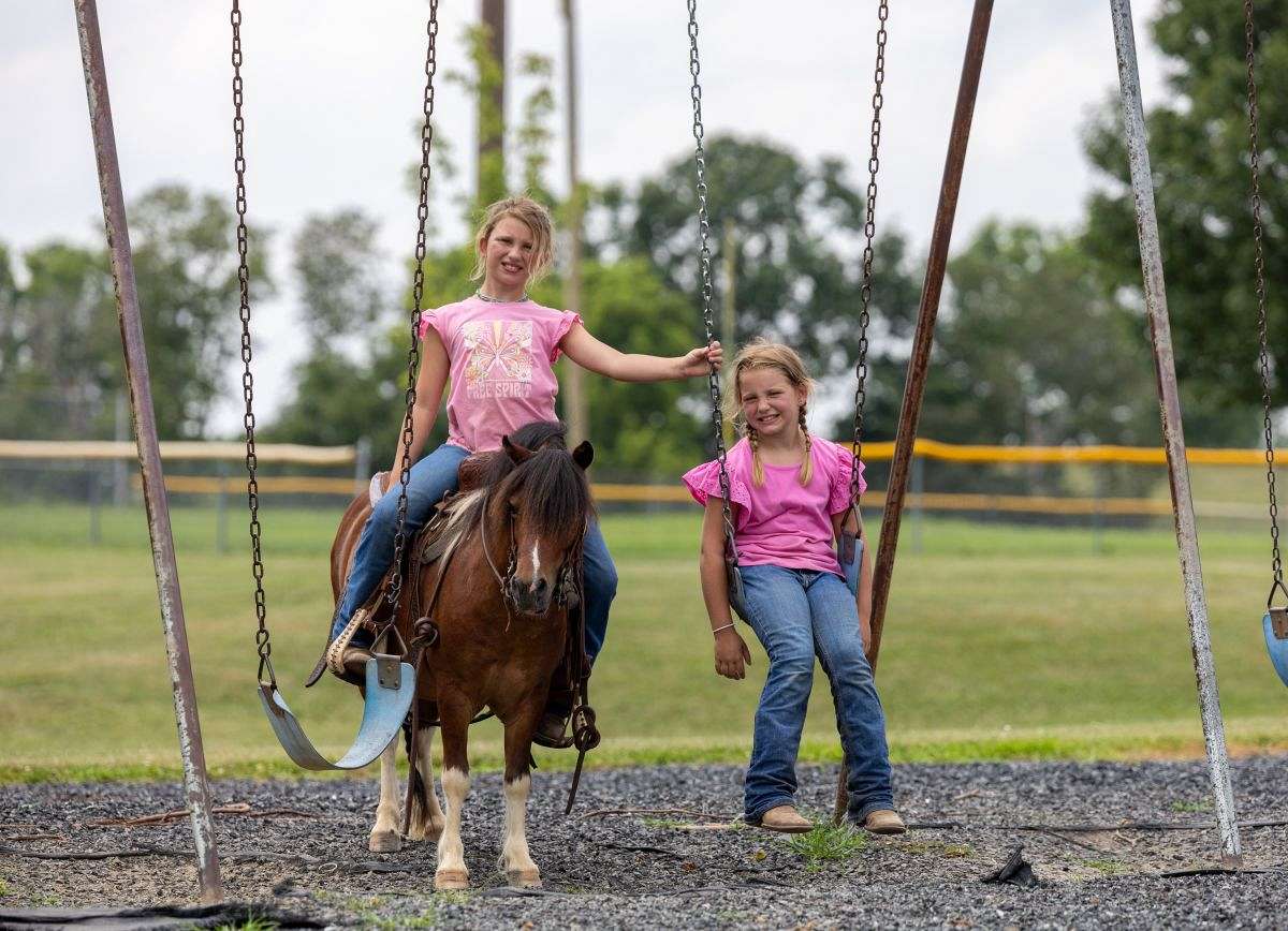 Chubbs- the Ultimate Chunky Pony Dream