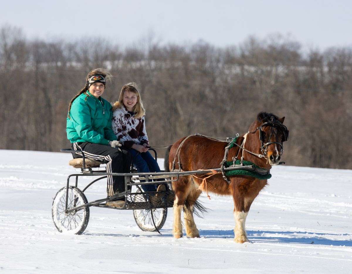 Chubbs- the Ultimate Chunky Pony Dream