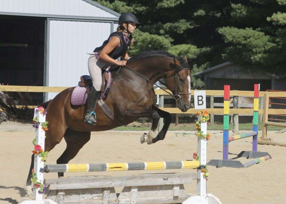 10 Year Old Thoroughbred Mare, Storm