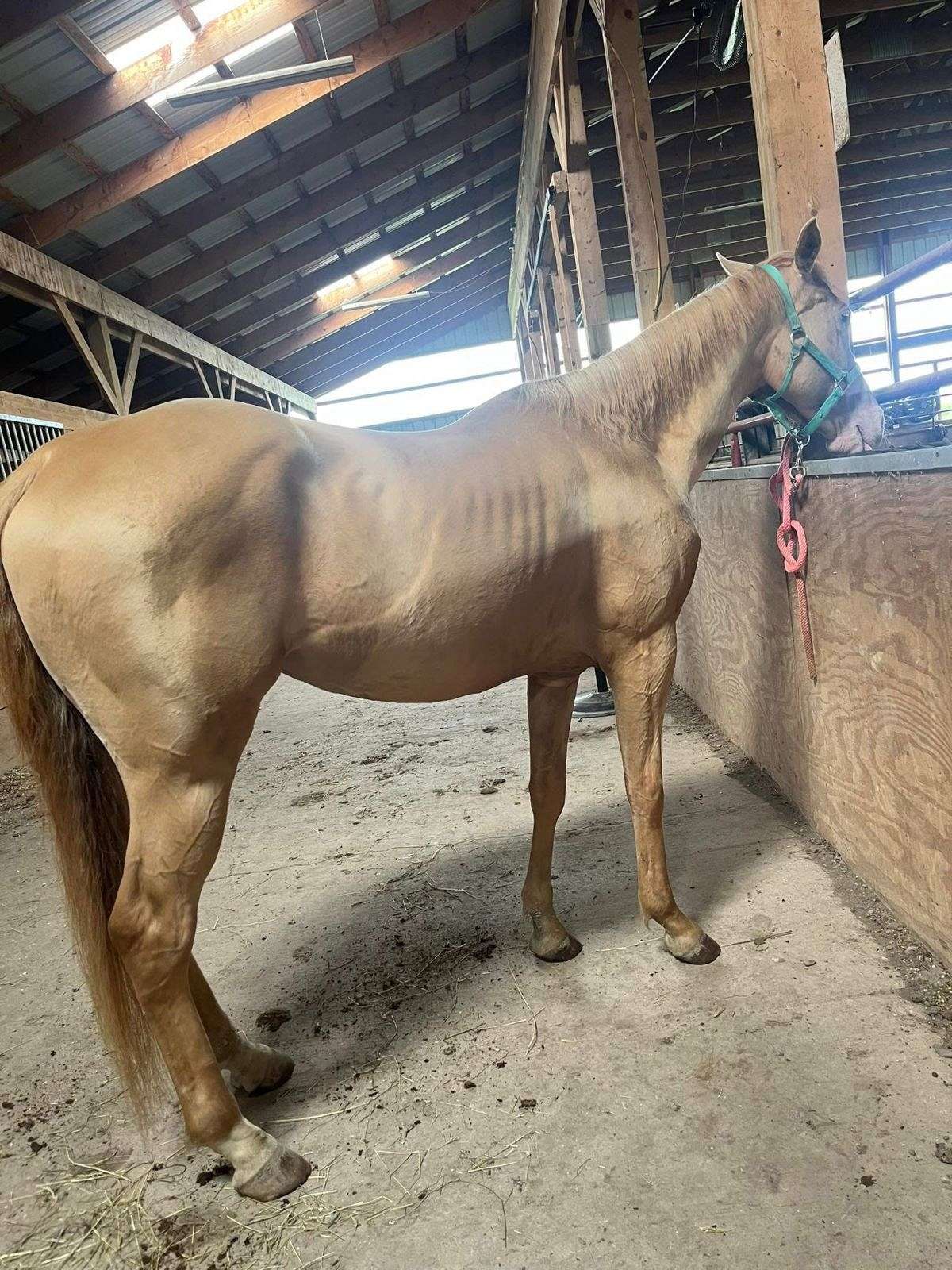 Big, Pretty and Correct