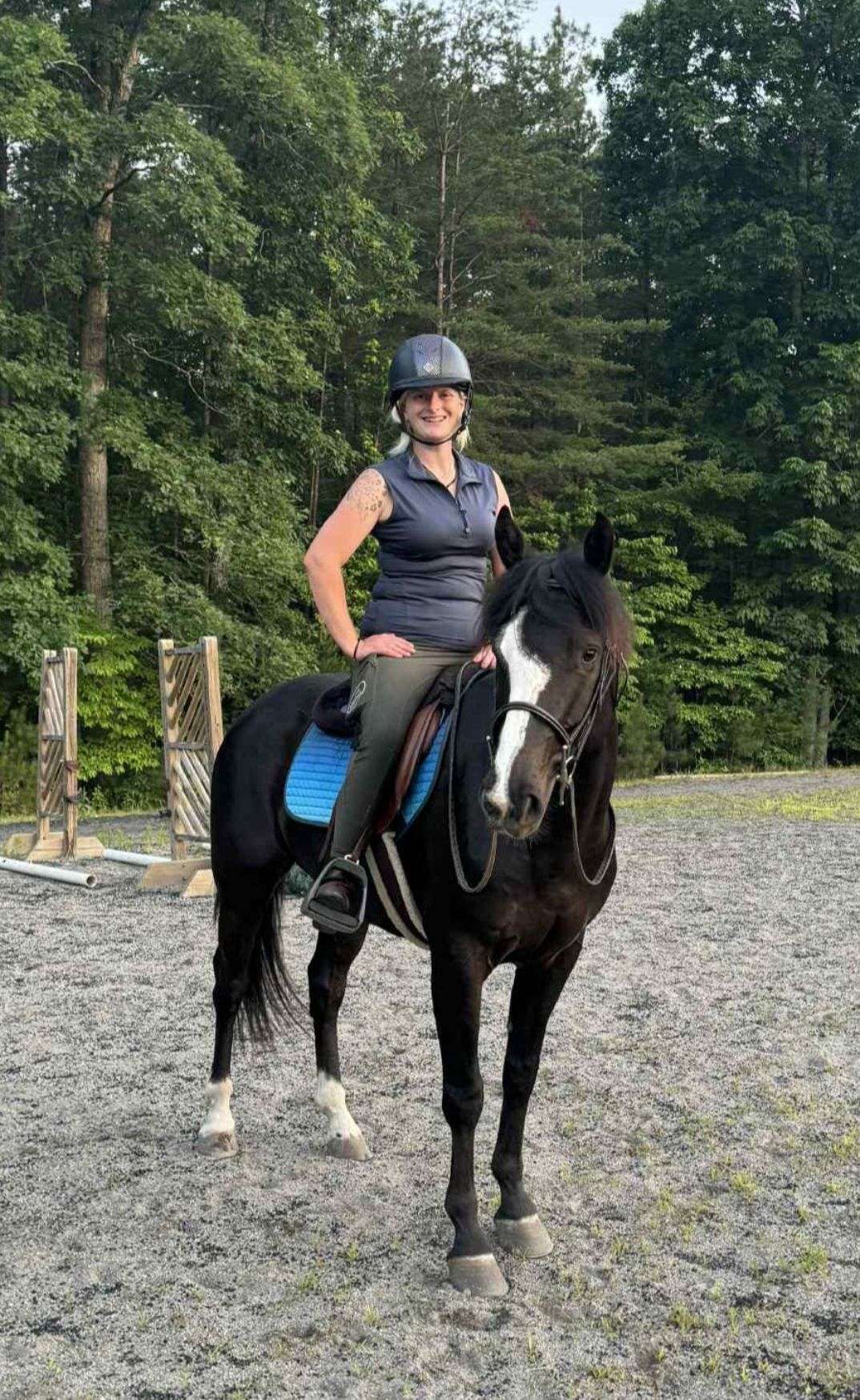 Bandit - Lovely Dressage Prospect & Trail Rides!