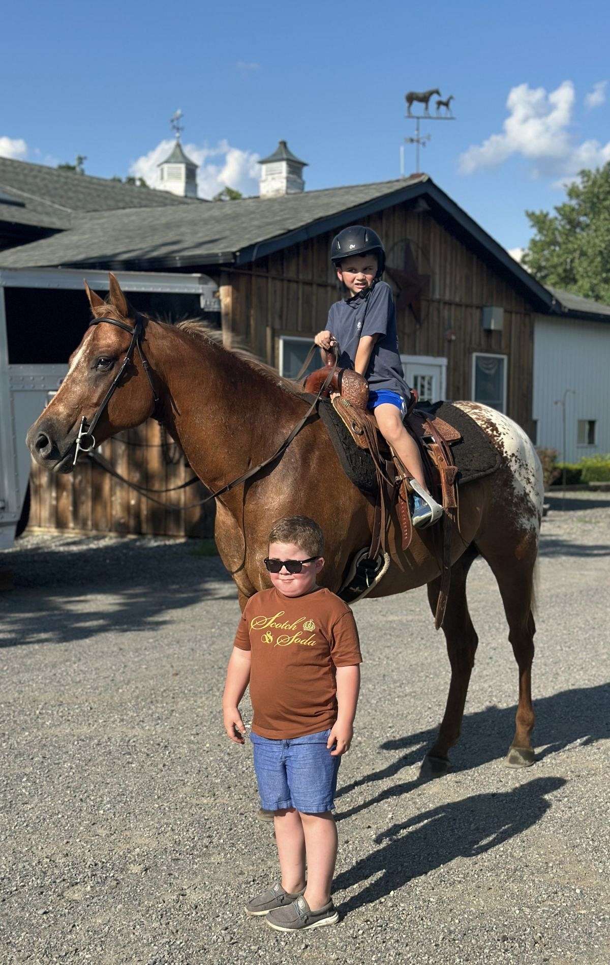 One in a Million Registered Appaloosa Gelding