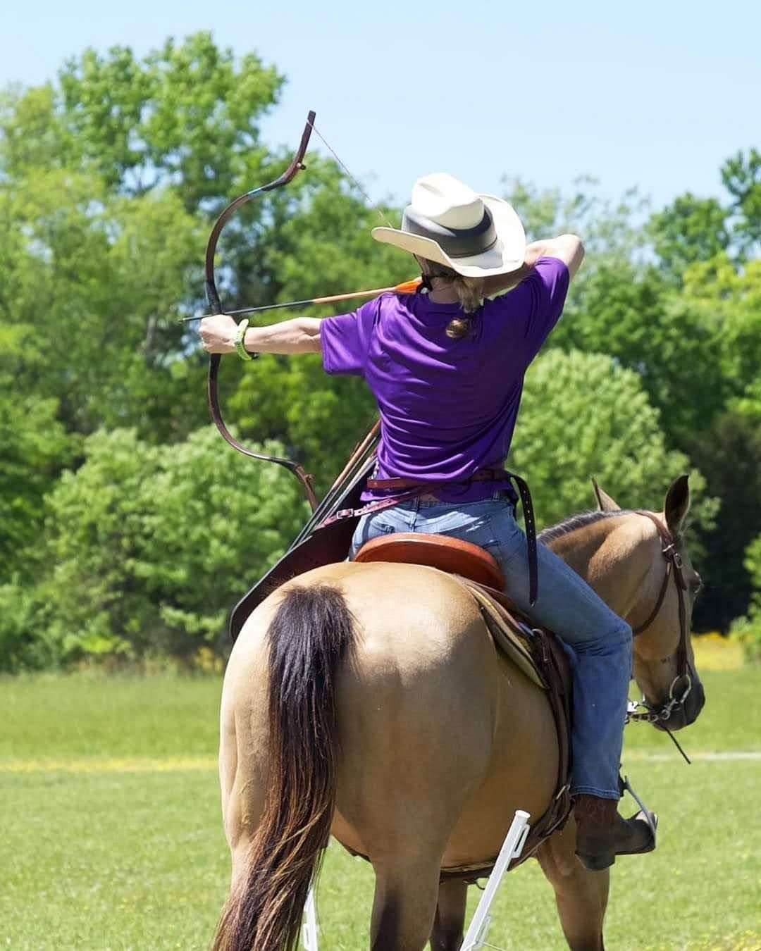 Butch, 13 Yrs Old 15.2h Quarter Horse, Calm and Experienced Trail Friend :)