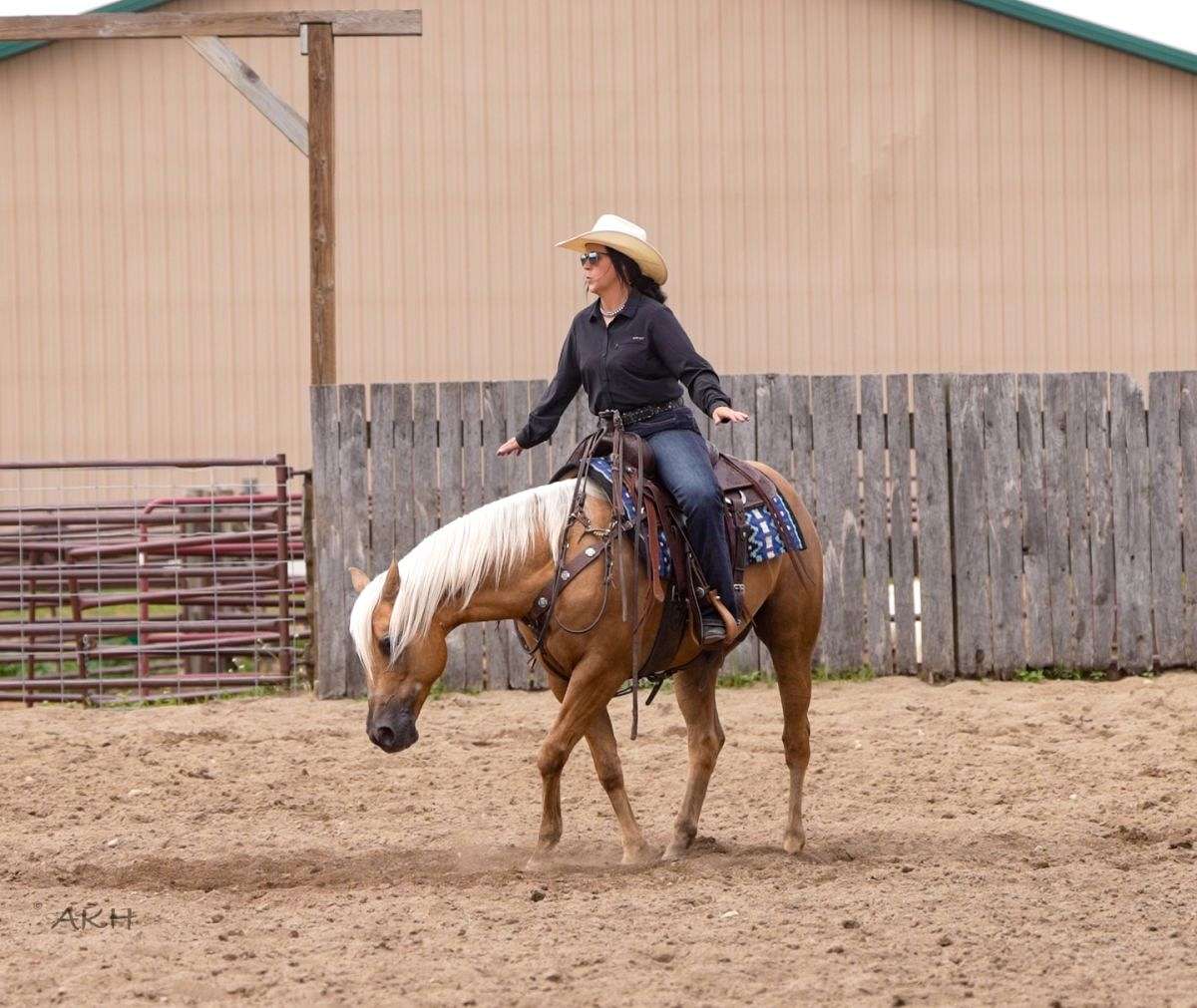 Nugget - Gorgeous Ranch & Reining Horse 8 yo Palomino APHA Gelding!