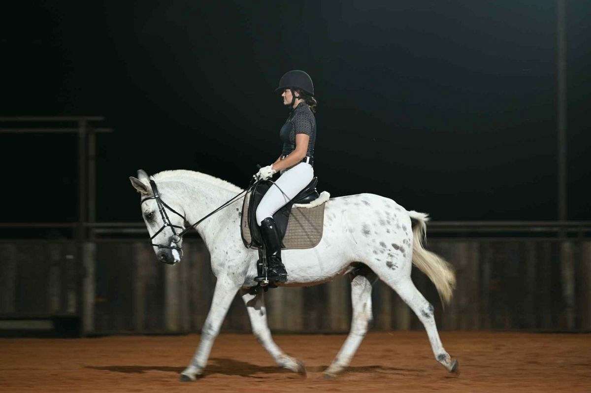 Ranch - Versatile & Well Rounded 8 Yr Old Appaloosa John Mule!
